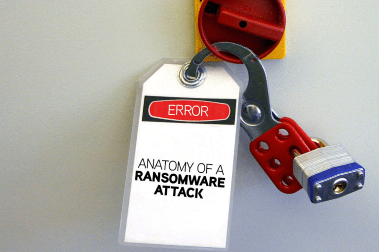 You Can Download Our Ransomware Attack Infographic Here